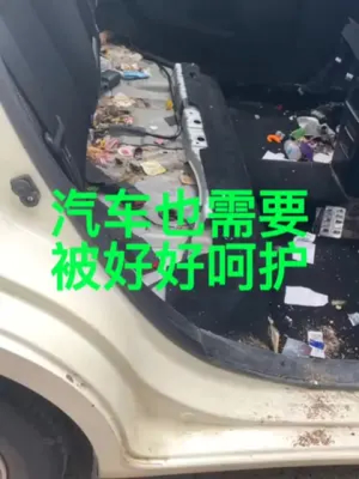 汽车是一个小家，毕竟不是垃圾房，好的环境需要你我共同维护#老车整备翻新#内饰深度清洁#苏州汽车美容#黄埭汽车精洗#骐达_高清1080P在线观看 ...