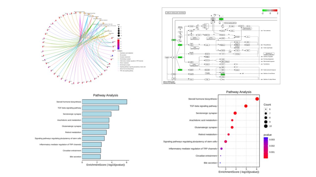 微生信平台在线GO、Pathway富集分析操作及结果说明_高清1080P在线观看平台_腾讯视频