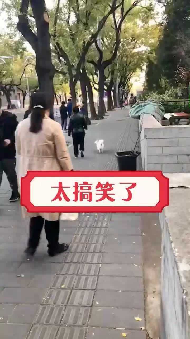 像极了穿高跟鞋崴脚的我腾讯视频