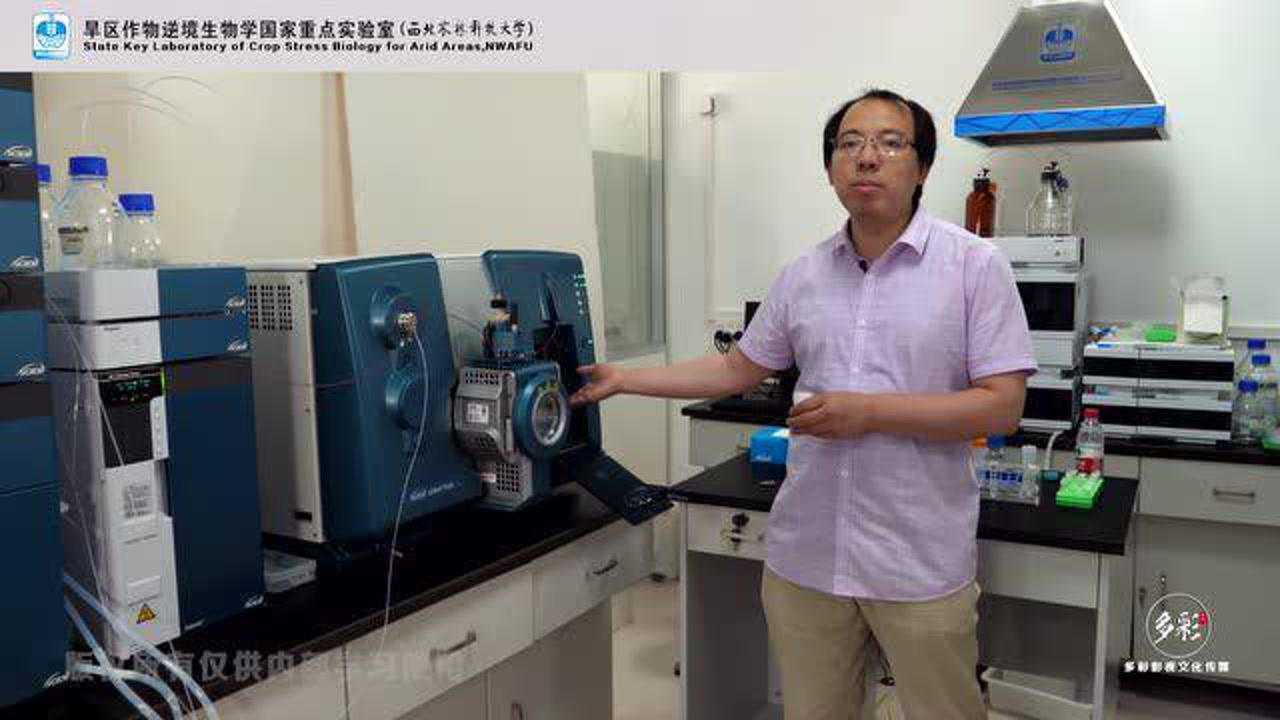 第三节：AB SCIEX Qtrap 5500三重四级杆液质联用仪的原理及应用_腾讯视频