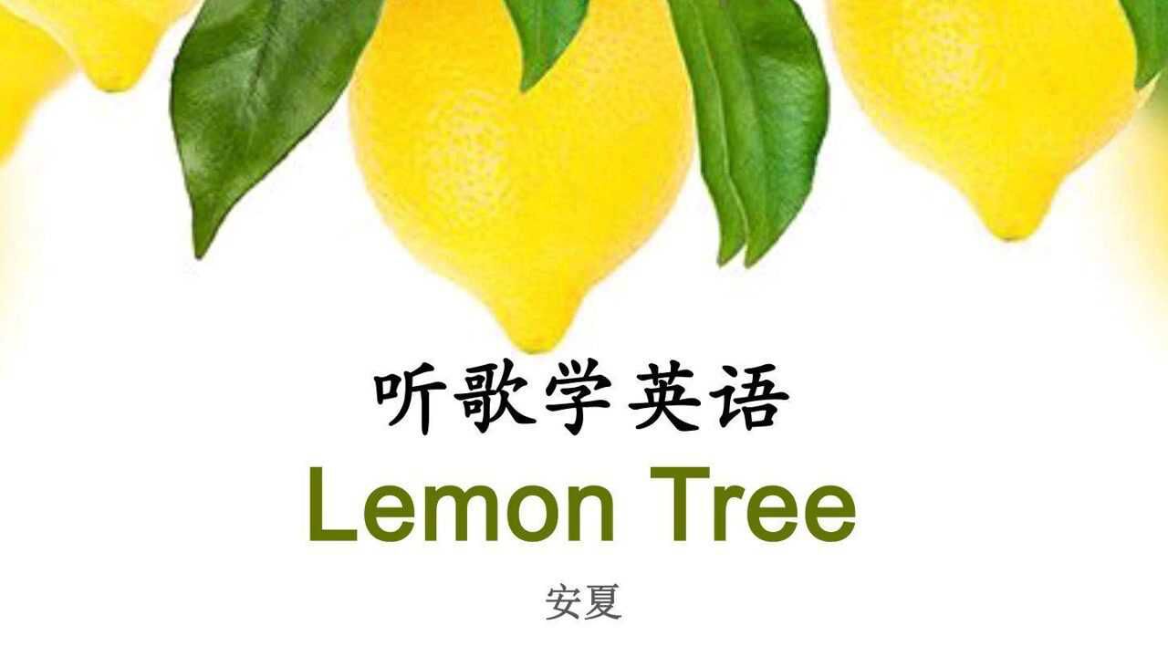 听歌学英语丨《LemonTree》柠檬树下的焦虑不安谁能懂#音乐#英语#学习#英文歌_高清1080P在线观看平台_腾讯视频