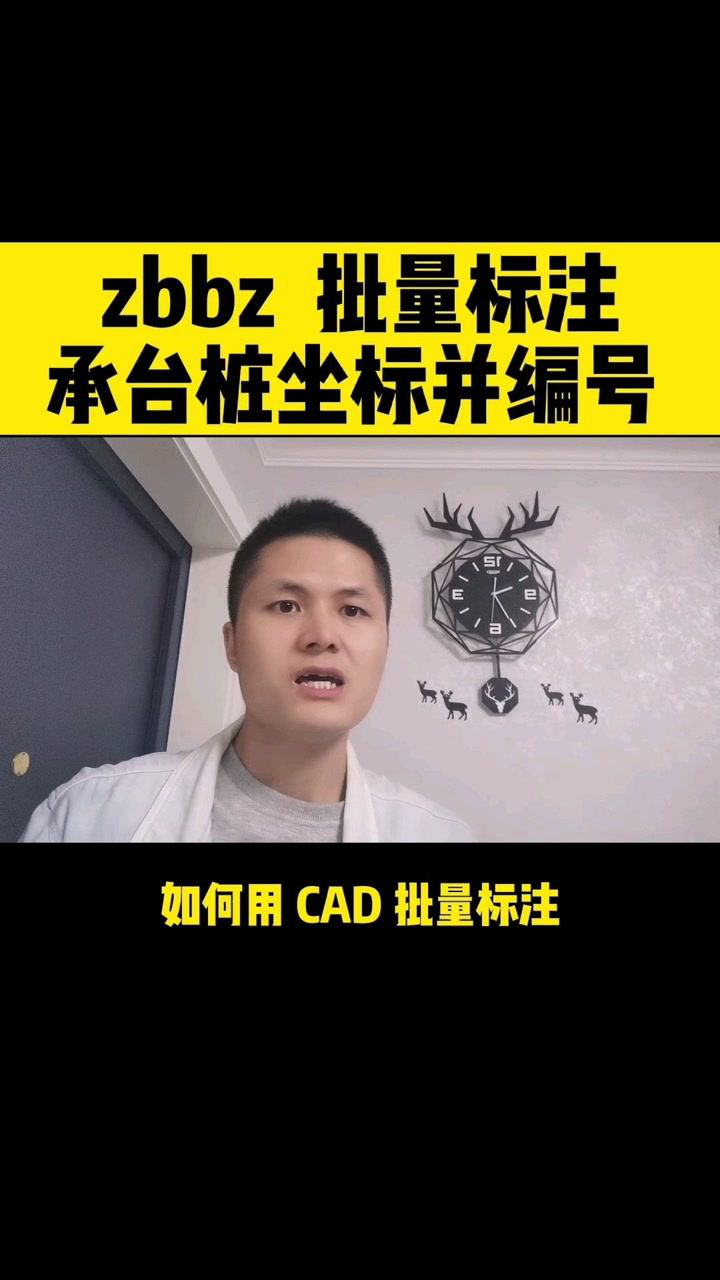 教你用zbbz批量标注承台桩坐标并编号_高清1080P在线观看平台_腾讯视频