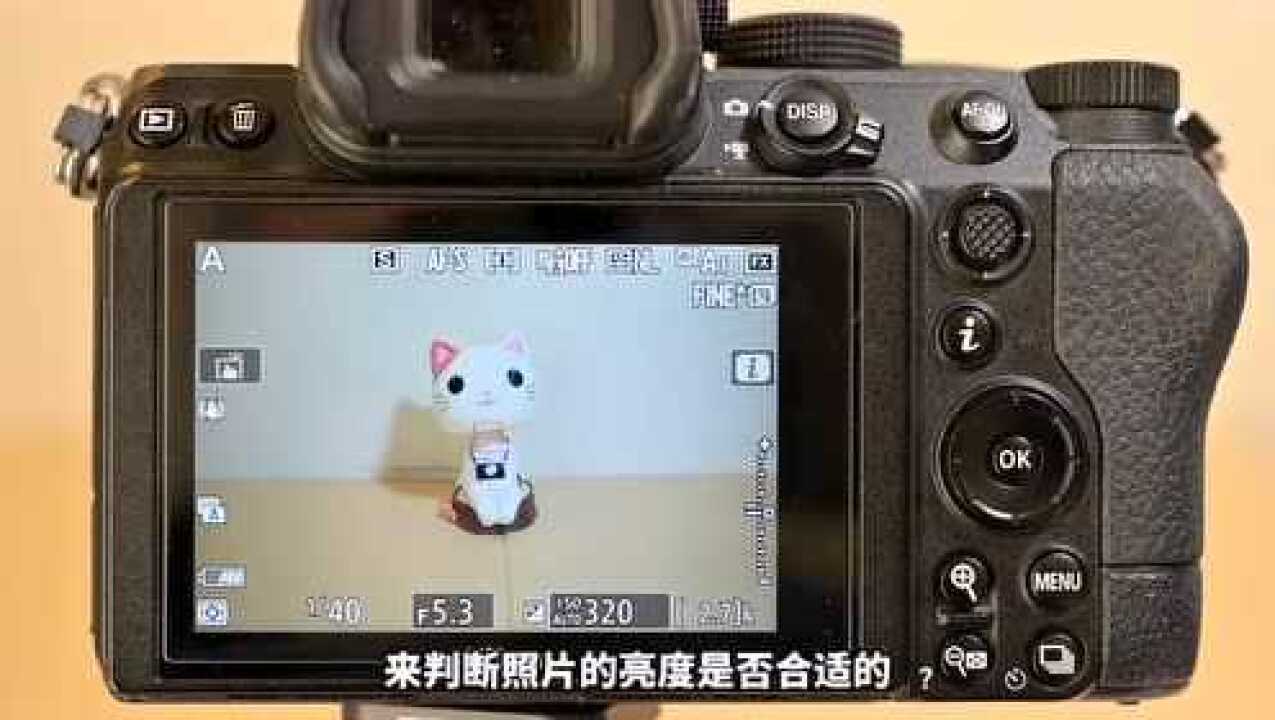 第66集 尼康Z5直方图功能_高清1080P在线观看平台_腾讯视频