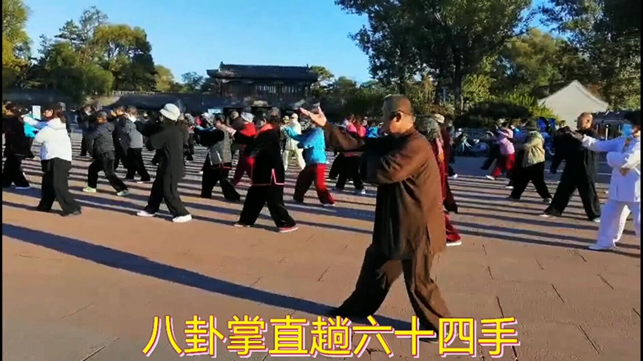 八卦掌六十四手承德市八卦掌指导站总教练项争鸣腾讯视频 2768