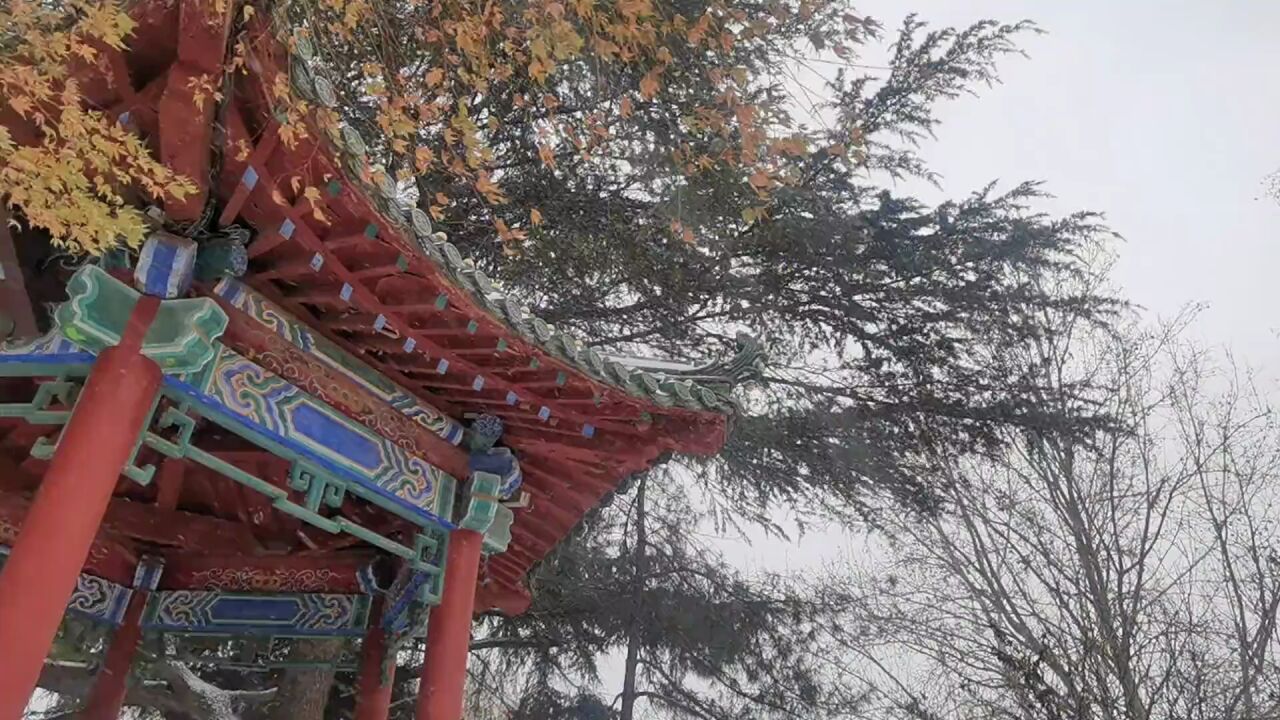 【金瓶杂谈5】《金瓶梅》里的七场雪：风月开场，梦醒而终_高清1080P在线观看平台_腾讯视频