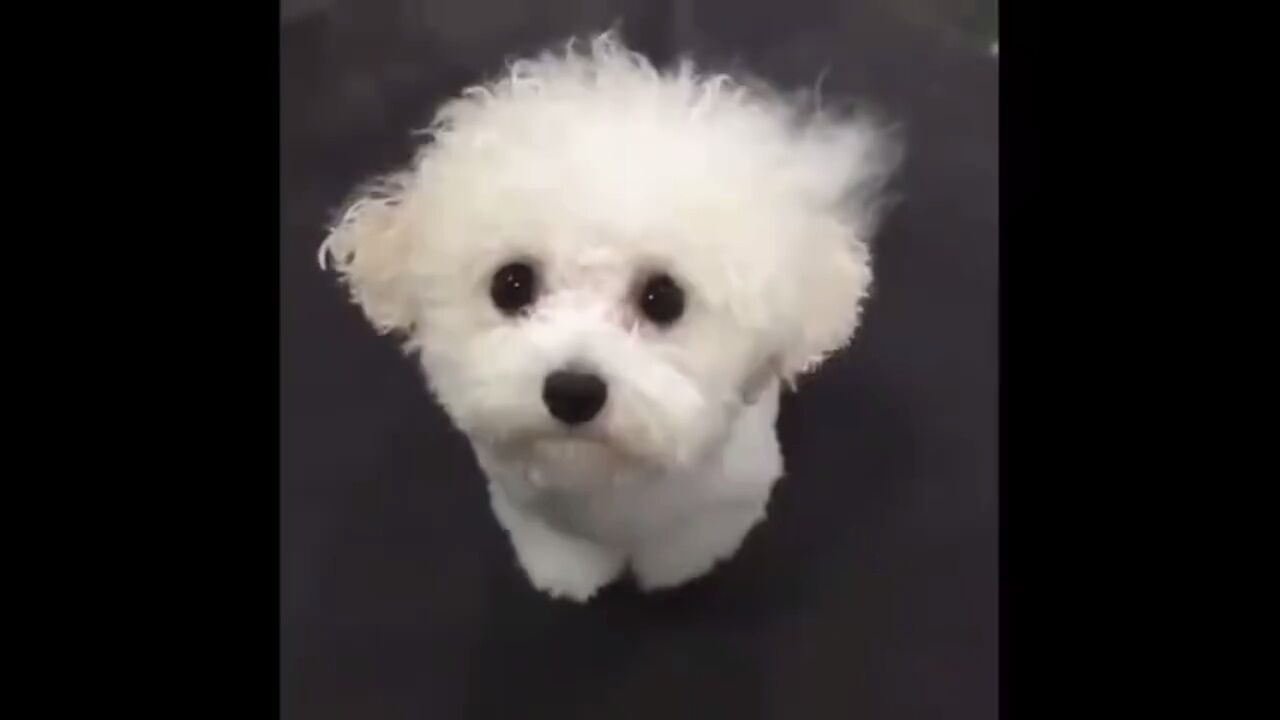 ପ꒰⑅•ᴗ•｡꒱໊੭┊♡┊♡ 最近手头有点紧🚜。 ⚪︎ 谁能借我手牵牵(๑ᵔ⌔ᵔ๑)੭𖠚ᐝ_高清1080P在线观看平台_腾讯视频