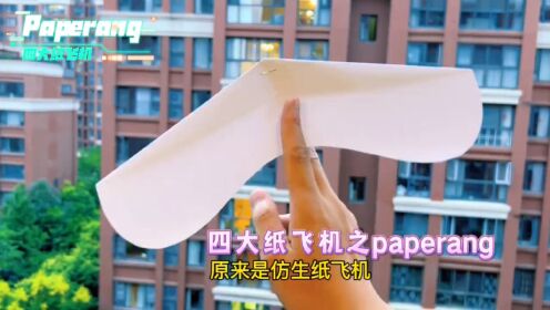 实锤了！四大纸飞机paperang不是模仿的B2轰炸机，他是仿生纸飞机_高清1080P在线观看平台_腾讯视频