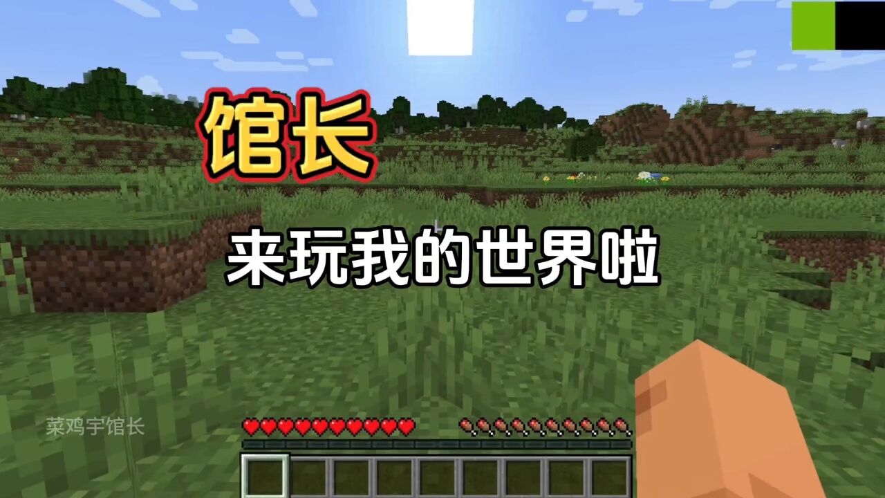 馆长来玩我的世界啦#我的世界#菜鸡宇馆长#_高清1080P在线观看平台_腾讯视频