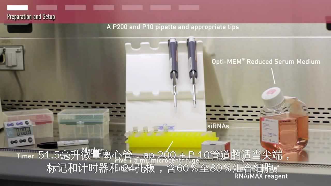 siRNA转染教程_腾讯视频