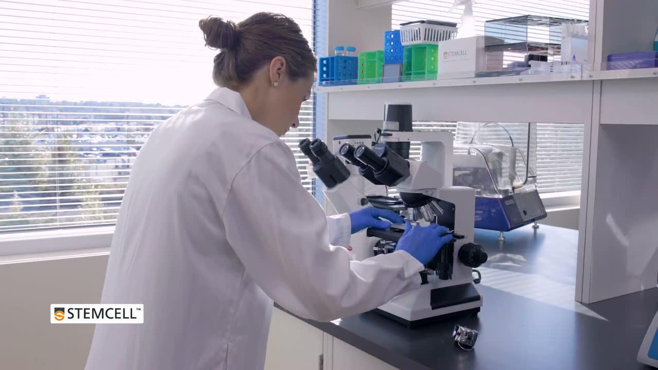 CFU检测操作指南_高清1080P在线观看平台_腾讯视频