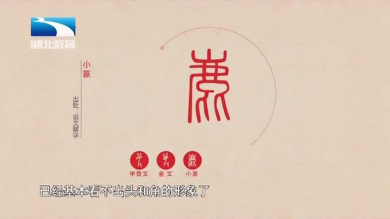 每天学一字，小朋友看鹿字演变，记象字笔顺别发倒笔呦_高清1080P在线观看平台_腾讯视频