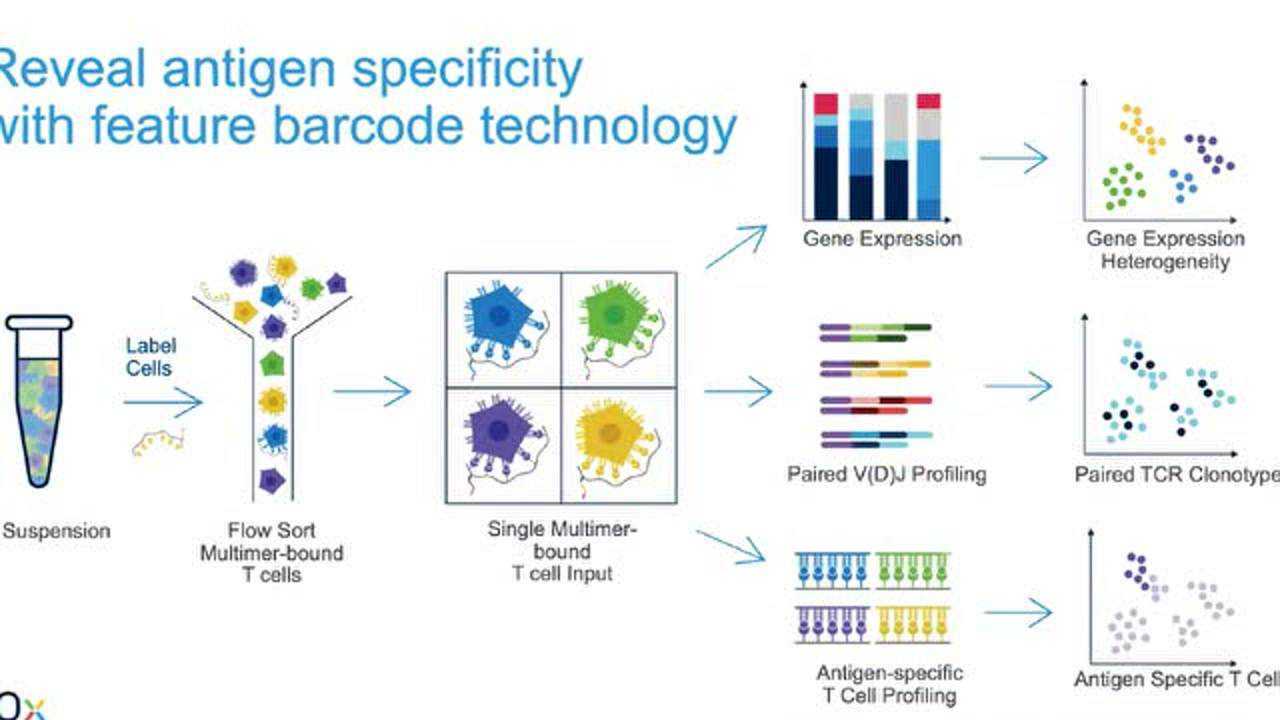 第五课_10xGenomics单细胞抗原特异性及细胞表面蛋白_高清1080P在线观看平台_腾讯视频