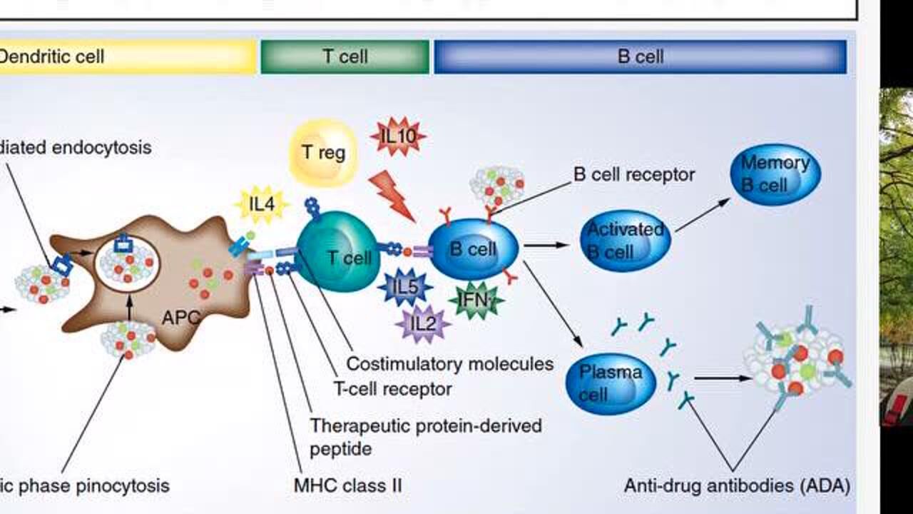Dr.TimHickling-免疫原性预测和缓解在生物治疗发展中的应用_腾讯视频