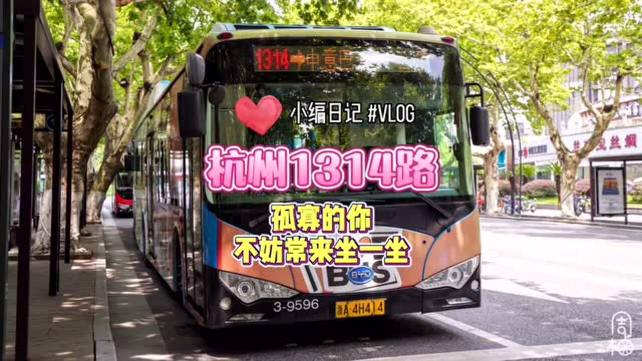 杭州1314公交，孤寡的你不妨来坐一坐！_腾讯视频