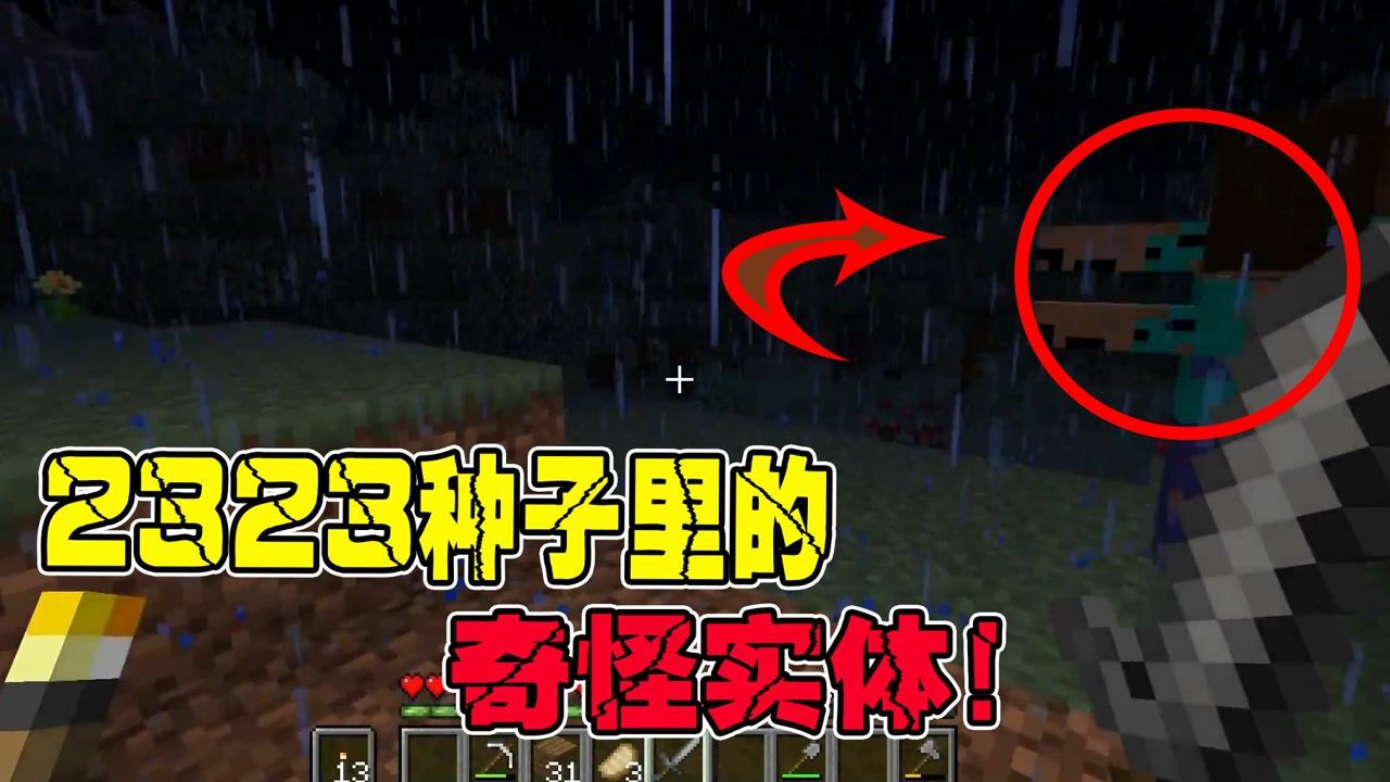 我的世界：关于2323种子里的，那个奇怪实体！_腾讯视频