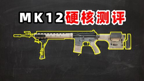 MK12：真想代替Mini14，可实力却不允许！_高清1080P在线观看平台_腾讯视频