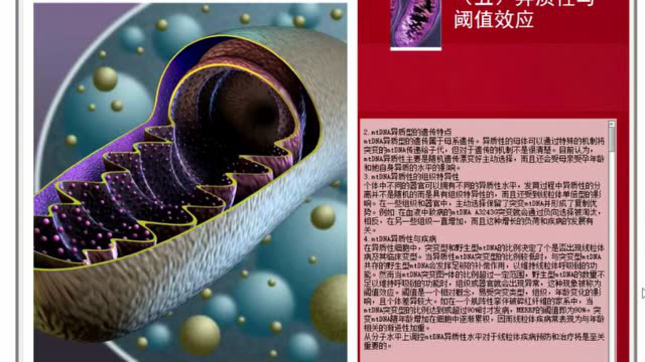 mtDNA的结构与遗传特征（麻151）_高清1080P在线观看平台_腾讯视频