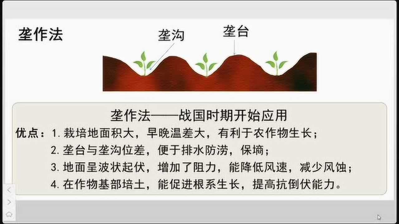 垄距示意图 大垄双行示意图 第12页 大山谷图库