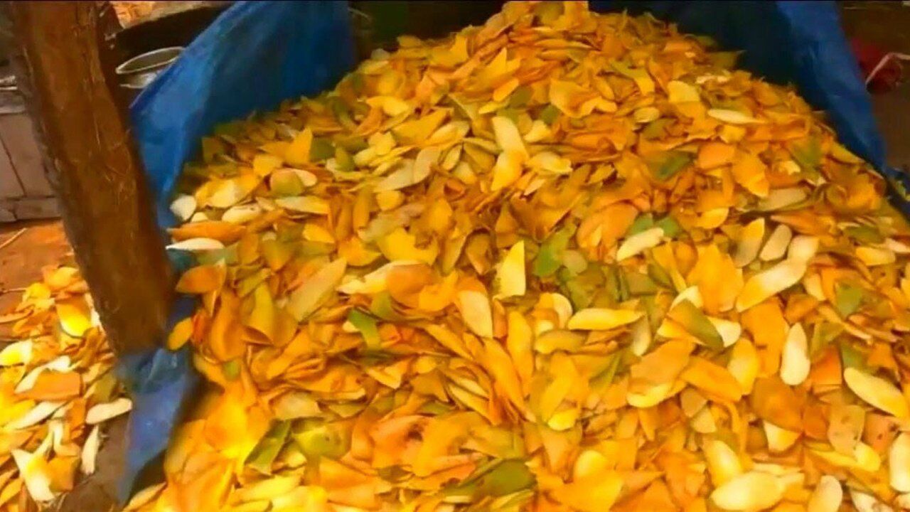 印度芒果干的制作过程曝光，看了之后，网友：再也不想吃了！_高清1080P在线观看平台_腾讯视频
