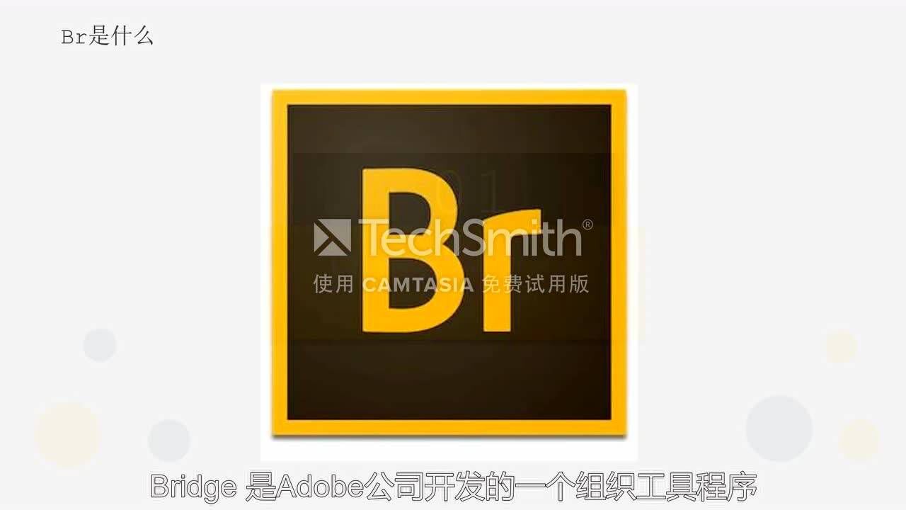 br基本使用讲解_高清1080P在线观看平台_腾讯视频