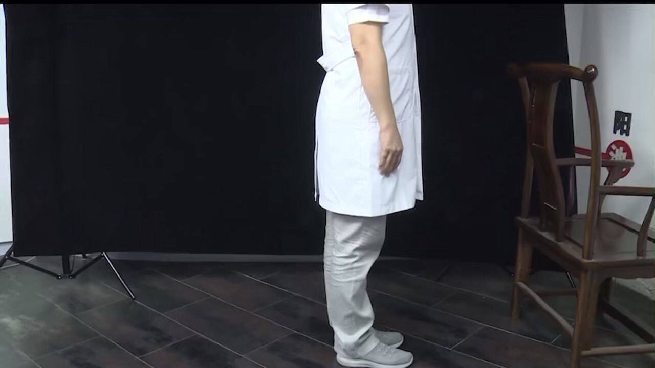 小燕飞标准动作视频都看过，那你看过站立式小燕飞标准动作视频吗_高清1080P在线观看平台_腾讯视频