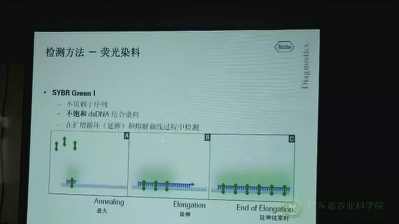 实时荧光定量PCR仪Roche LightCycler 480_腾讯视频