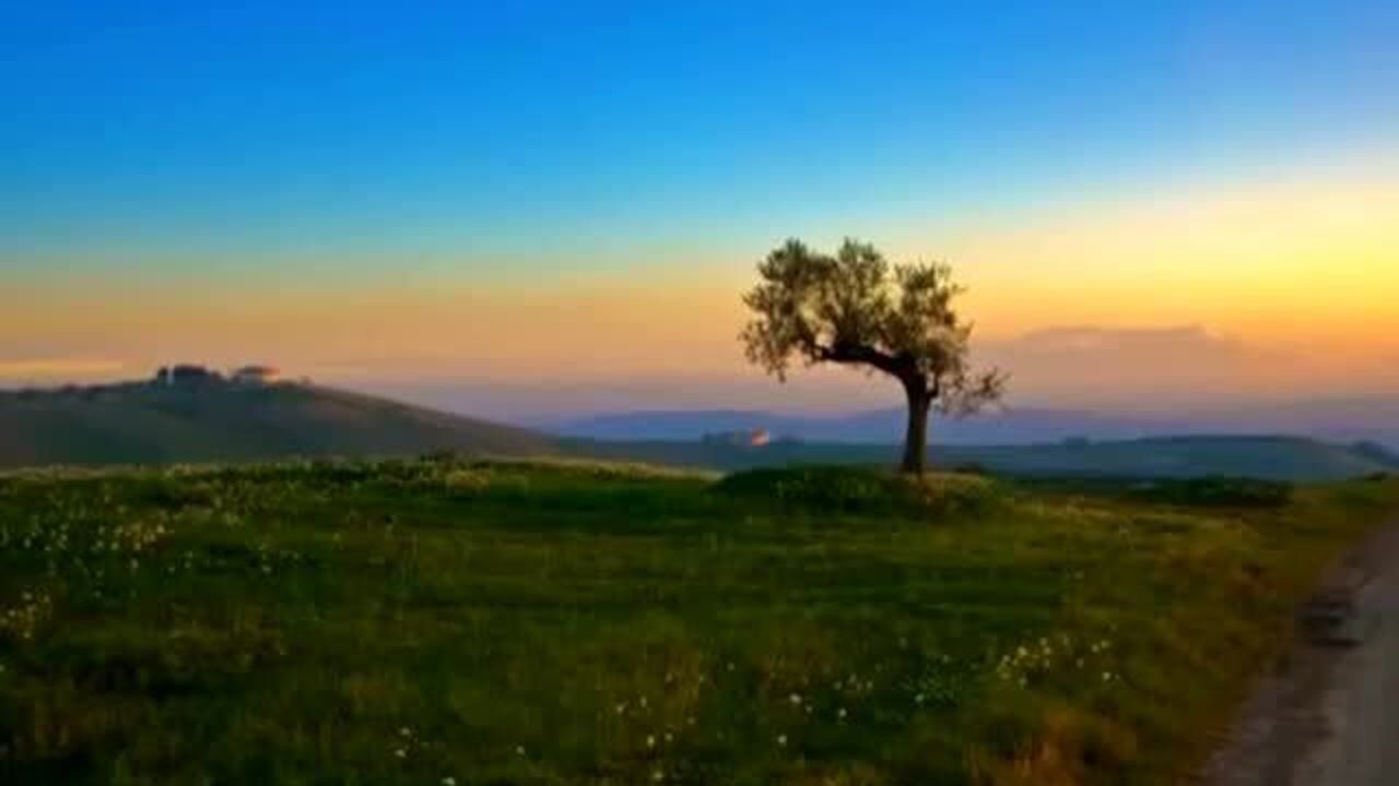 PeterWhite《Stormfront》_高清1080P在线观看平台_腾讯视频