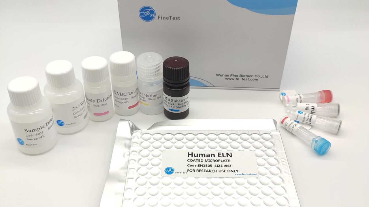 Elisa双抗体夹心法保姆级教学，小白福音！本实验操作步骤为菲恩生物Elisa科研试剂盒量身定制_腾讯视频