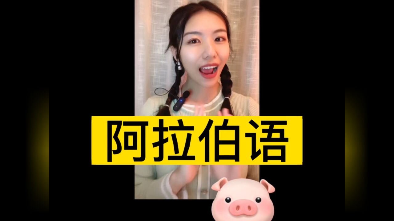 阿拉伯语28个字母正确读法阿拉伯语字母发音教程阿拉伯语入门初级教程高清1080p在线观看平台腾讯视频