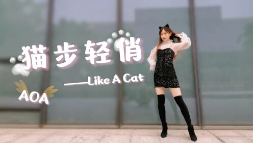 猫步轻俏-AOA‖LikeACat‖猫步踏到你心里了吗‖kpop舞蹈翻跳_高清1080P在线观看平台_腾讯视频