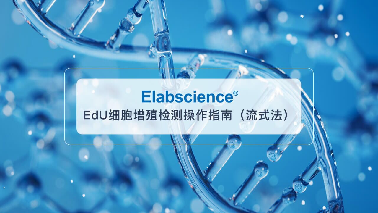 Elabscience_EdU细胞增殖检测操作指南(流式法)_腾讯视频