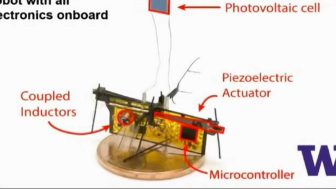 RoboFly是第一款无需系绳就能飞行的微型机器人_腾讯视频