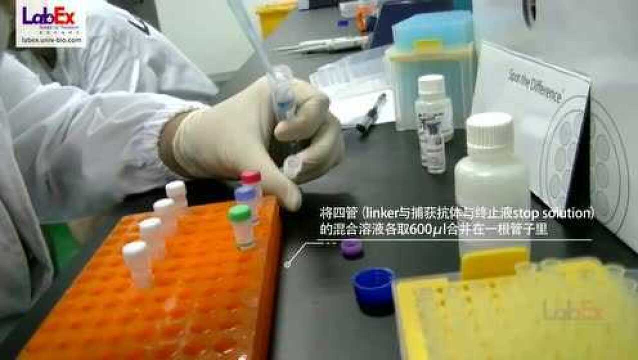 MSD多因子检测金标准—U-PLEX试剂盒操作流程_腾讯视频