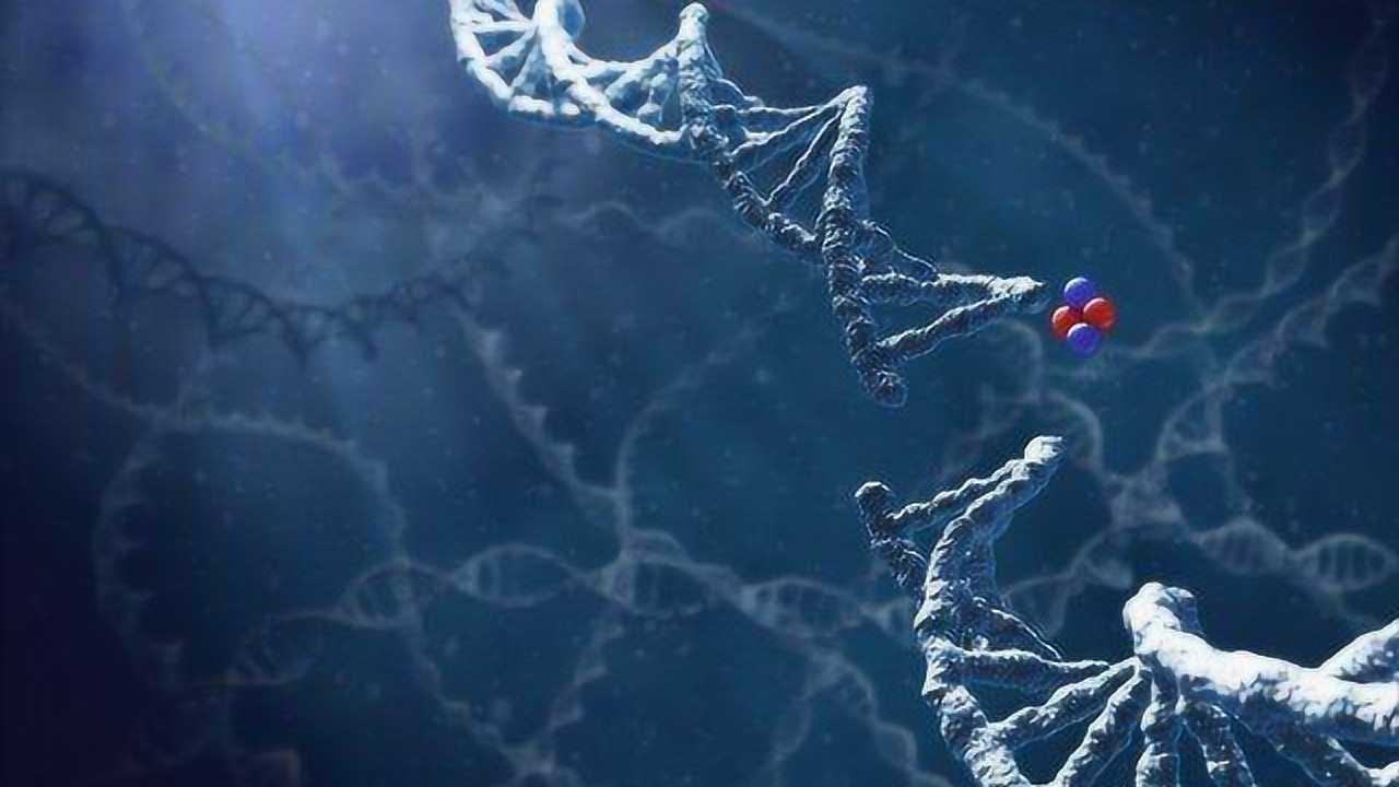 如果人全身的DNA都断裂了会发生什么？看完涨知识了_高清1080P在线观看平台_腾讯视频