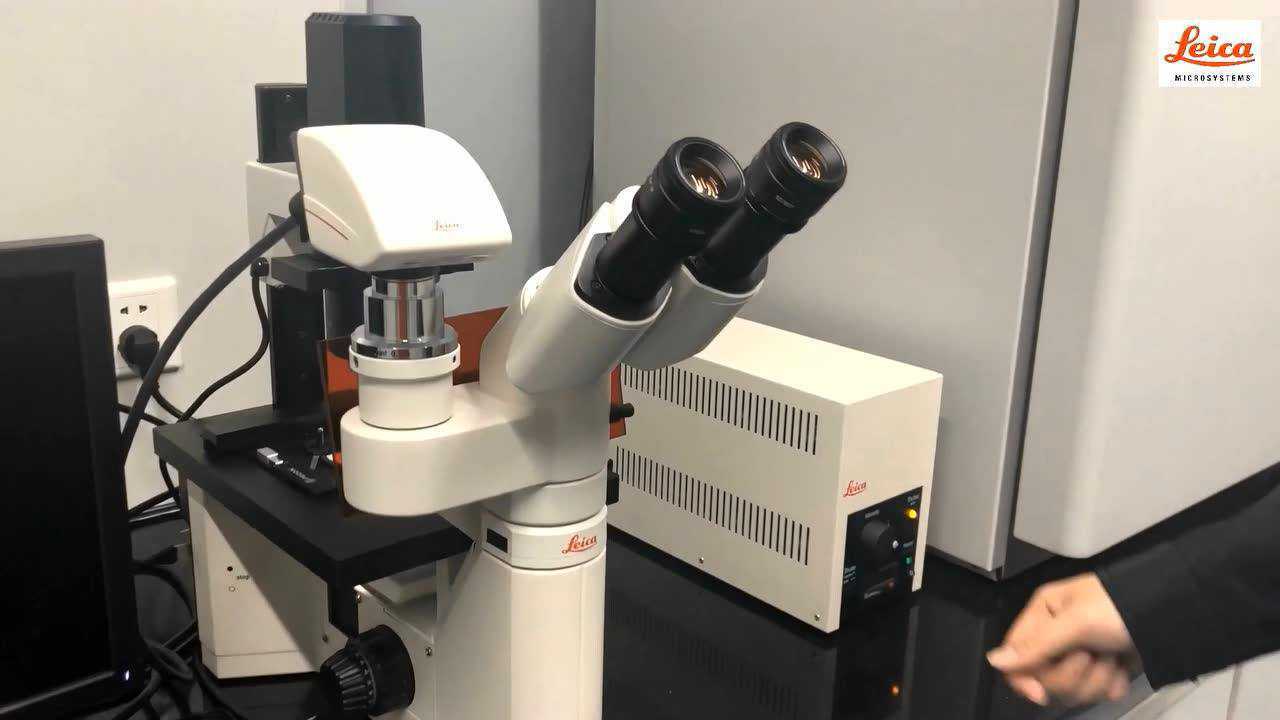 LeicaDMIL基本操作_高清1080P在线观看平台_腾讯视频