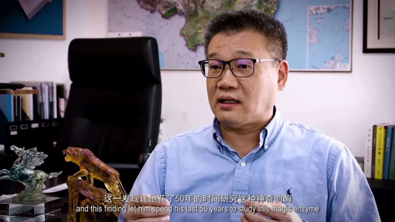 Matschinsky教授和陈博视频合并_腾讯视频