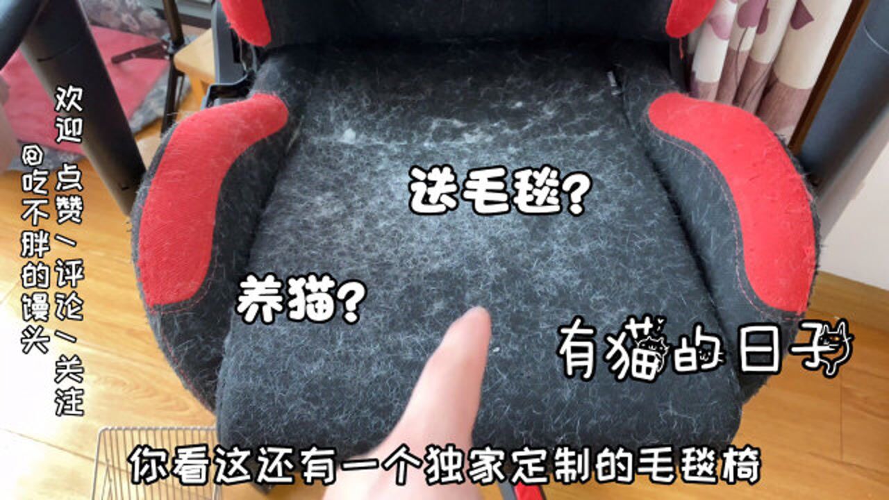 养猫么？送独家定制的毛毯座椅一套！馒头：这不是你最喜欢的么？_腾讯视频