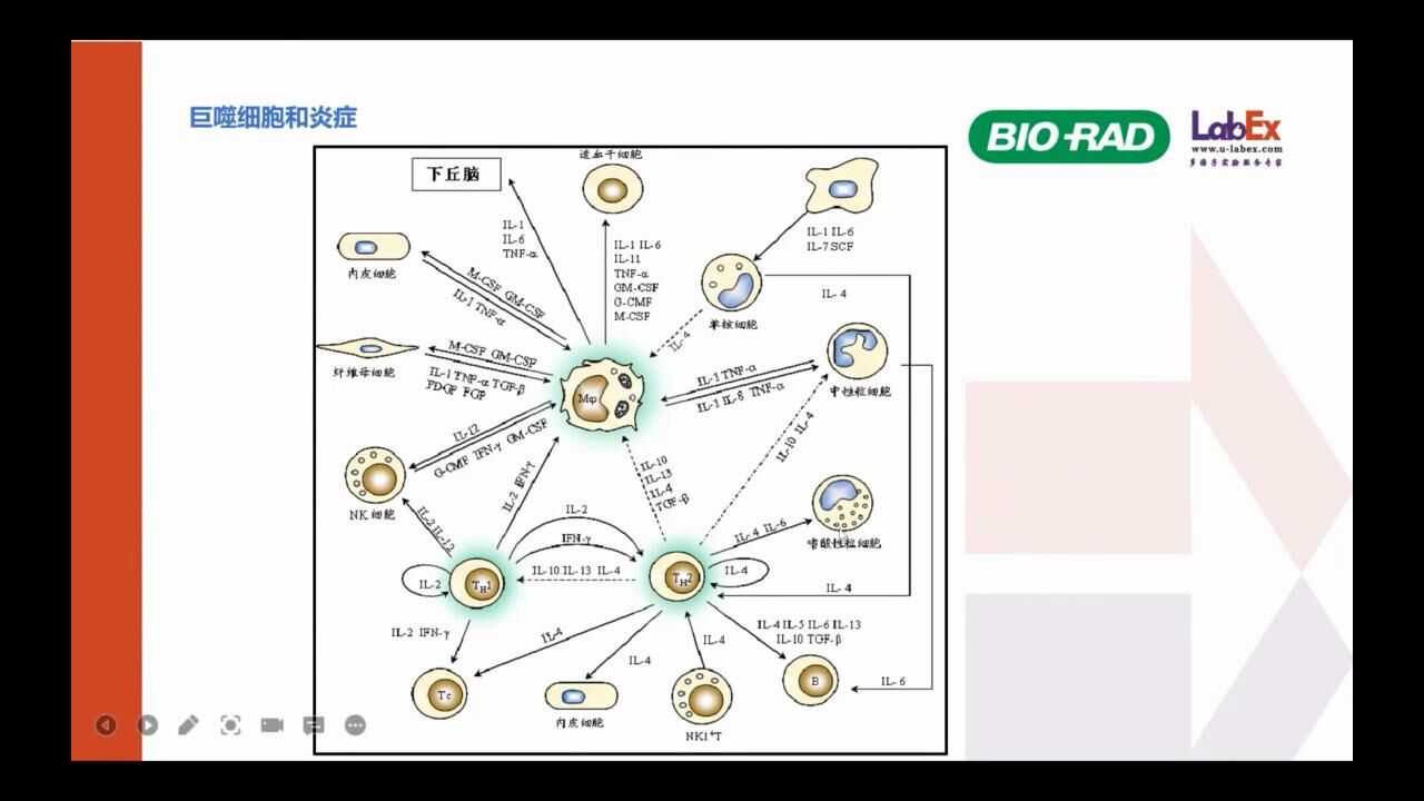 luminex技术介绍——液相悬浮芯片技术_腾讯视频