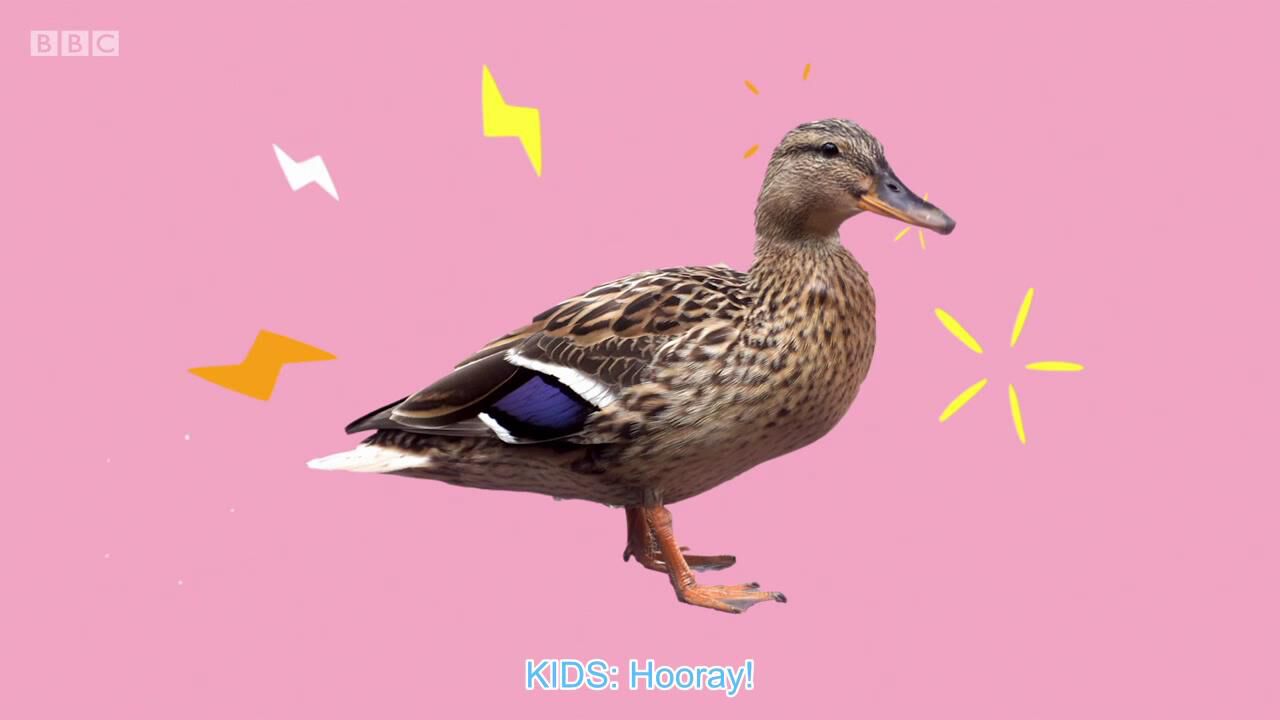 Yakaa Dee第一季-06.Duck_腾讯视频