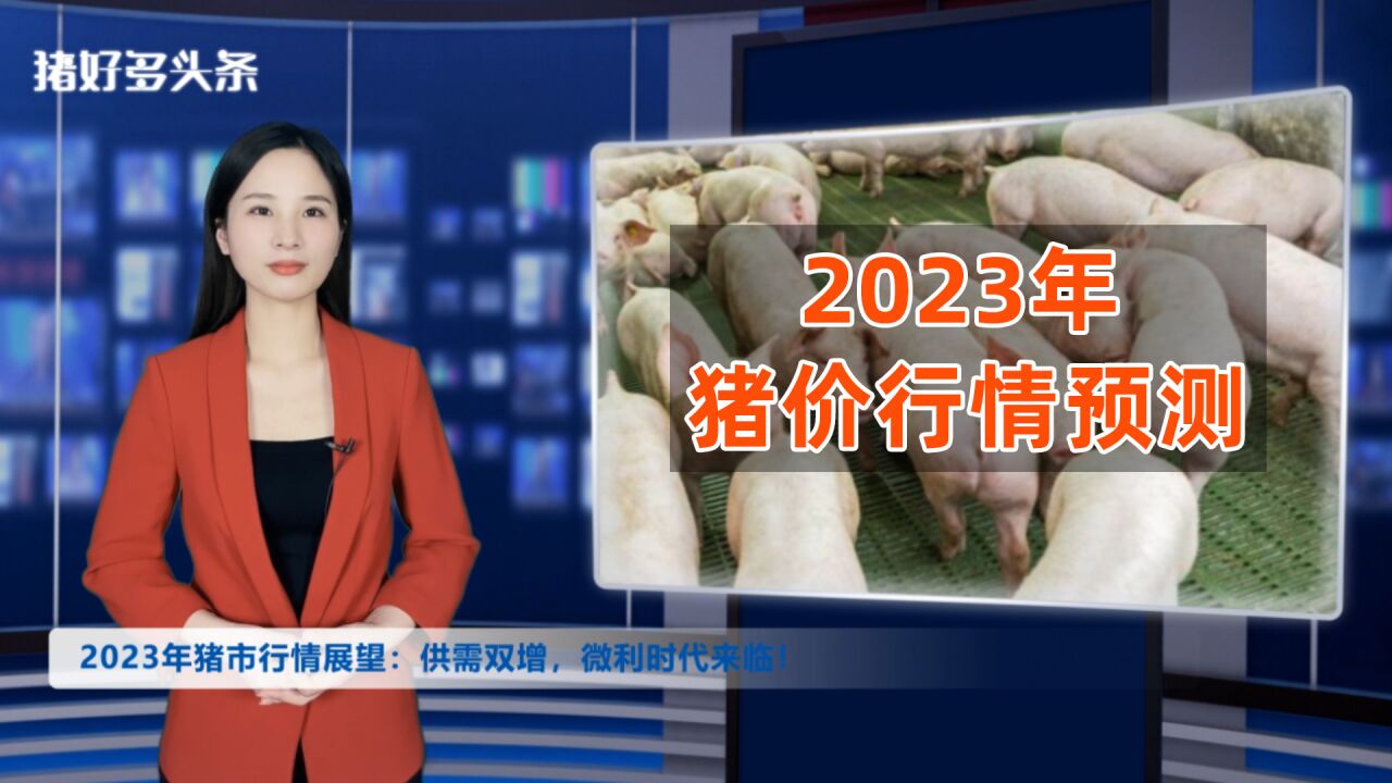4388万头！能繁母猪存栏连增6个月！2023年猪价能创惊喜吗？_腾讯视频