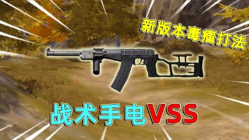 暗区突围：什么叫战术手电VSS？新版本毒瘤打法！近战几乎没对手_高清1080P在线观看平台_腾讯视频