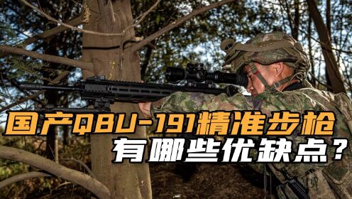 口径即正义射程即真理，解放军191步枪美中不足，还需优化改进_高清1080P在线观看平台_腾讯视频