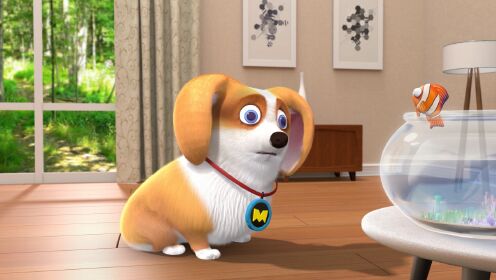 MOCO和鱼_56_少儿_动画片大全_腾讯视频