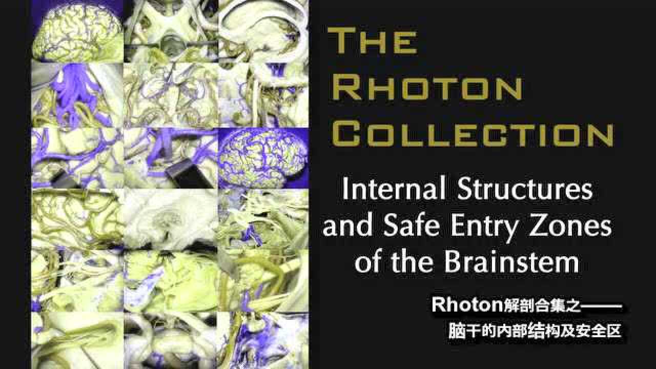 RHOTON系列3D解剖-12集：脑干的内部结构及安全区_高清1080P在线观看平台_腾讯视频