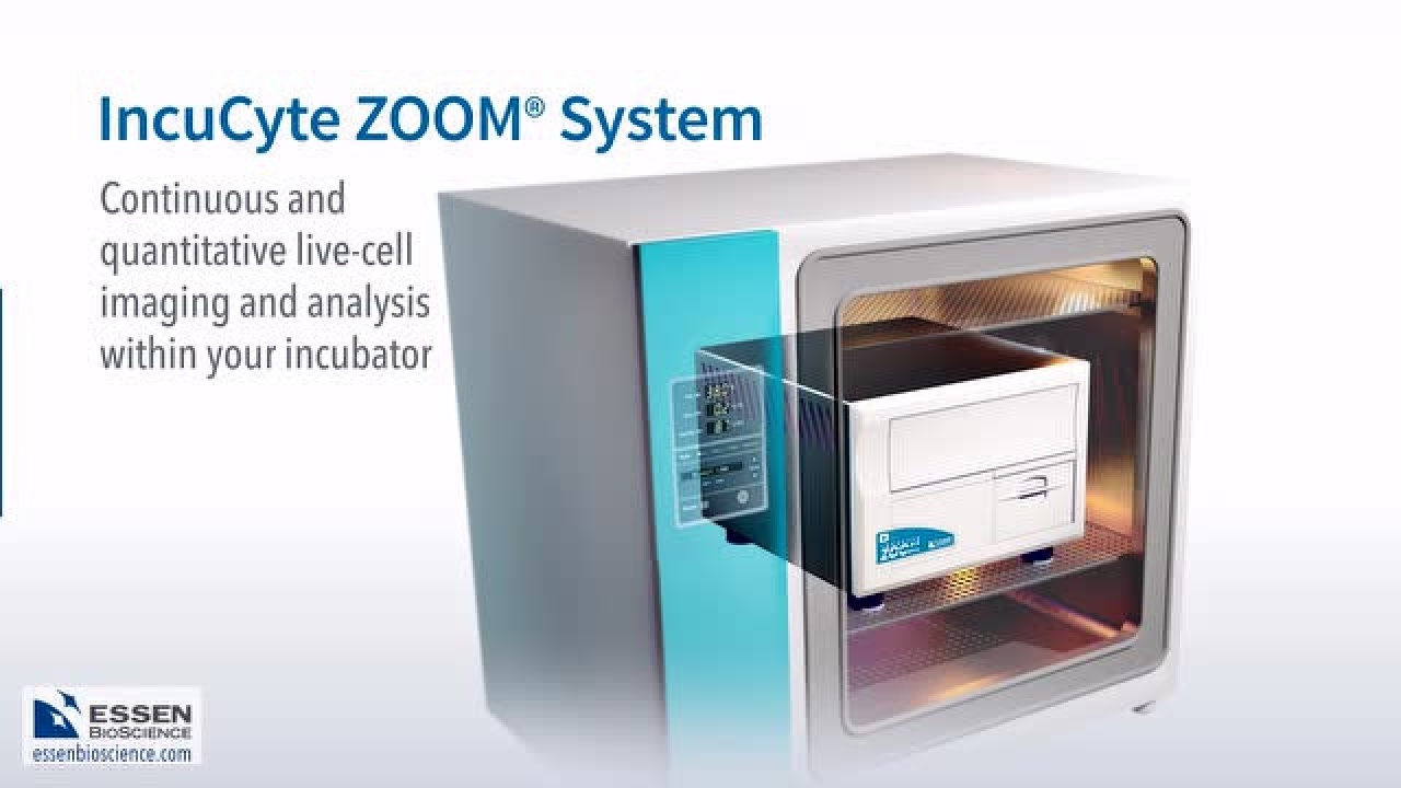 IncuCyteZOOM长时间动态活细胞观察系统_高清1080P在线观看平台_腾讯视频