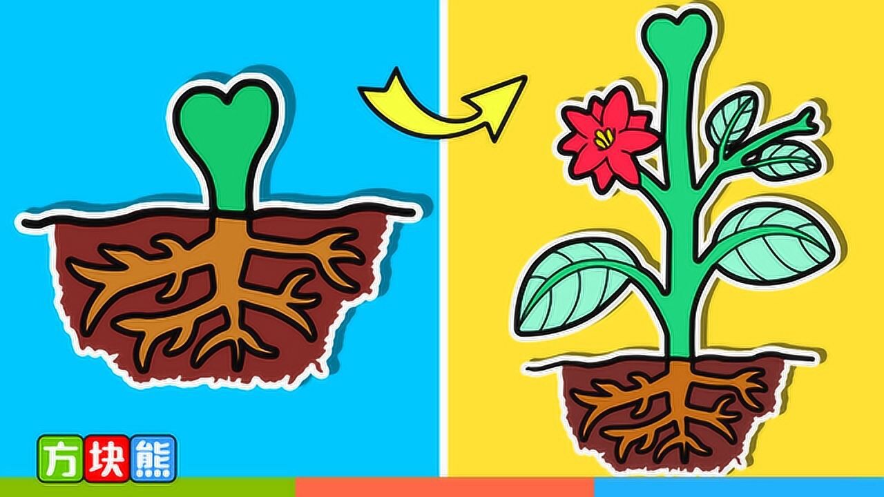 立体画：努力向阳生长的花朵，好漂亮_高清1080P在线观看平台_腾讯视频