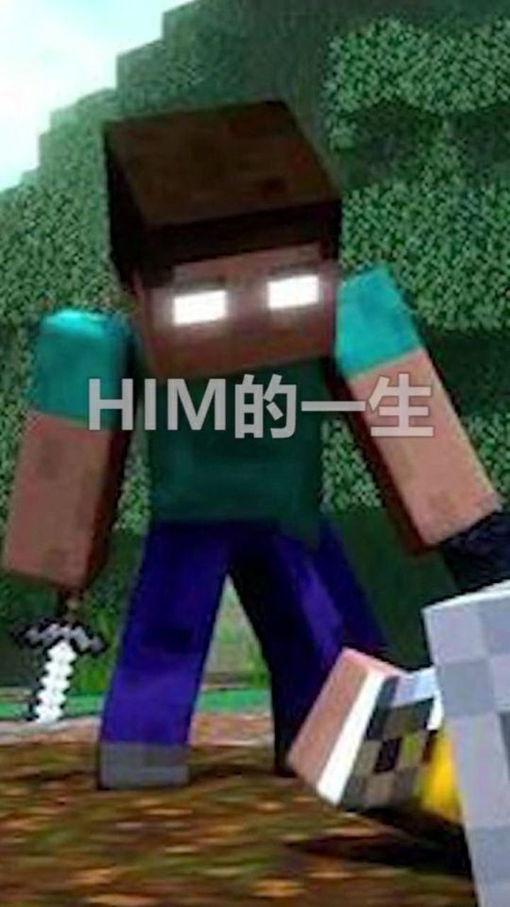 我的世界，him的一生都在寻找实体303复仇，这一生非常精彩又悲惨！_腾讯视频