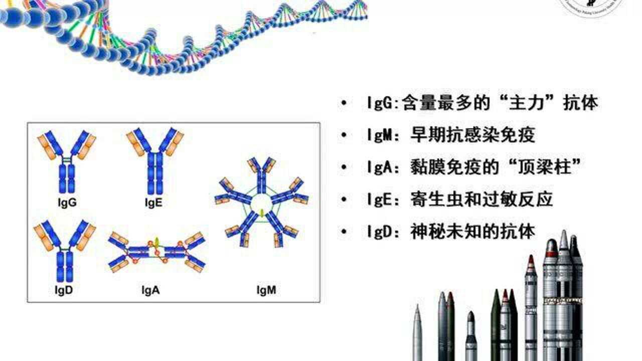 IgM、IgG搞不懂？4分钟教你弄明白什么是抗体_腾讯视频
