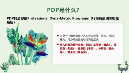 第一节：PDP性格测试名词解析及实操_第一节：PDP性格测试名词解析及实操_腾讯视频