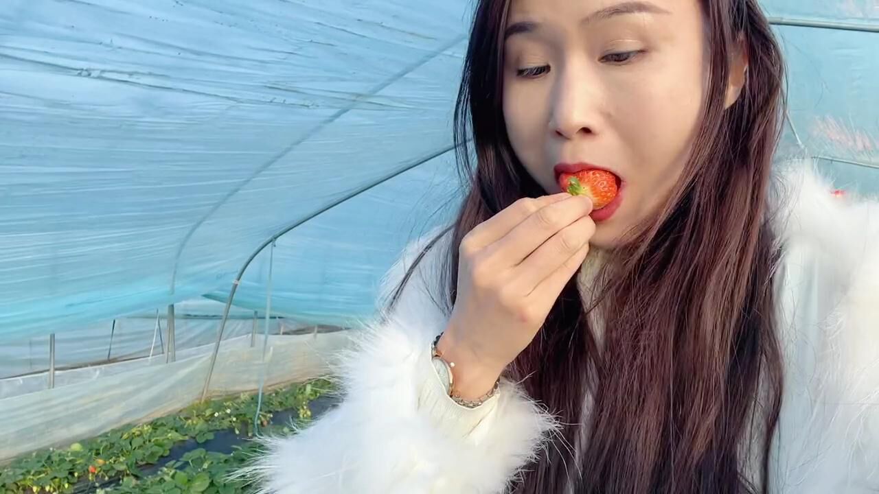 宝妈带着5个孩子去摘草莓，红彤彤的真诱人，小老四真的很暖心！ 腾讯视频